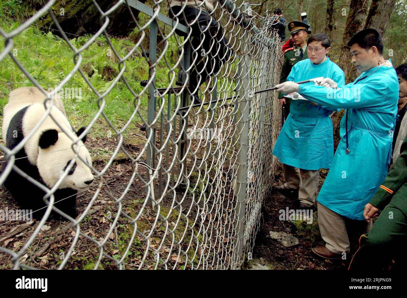 Tierarzt zaun hi-res stock photography and images - Alamy