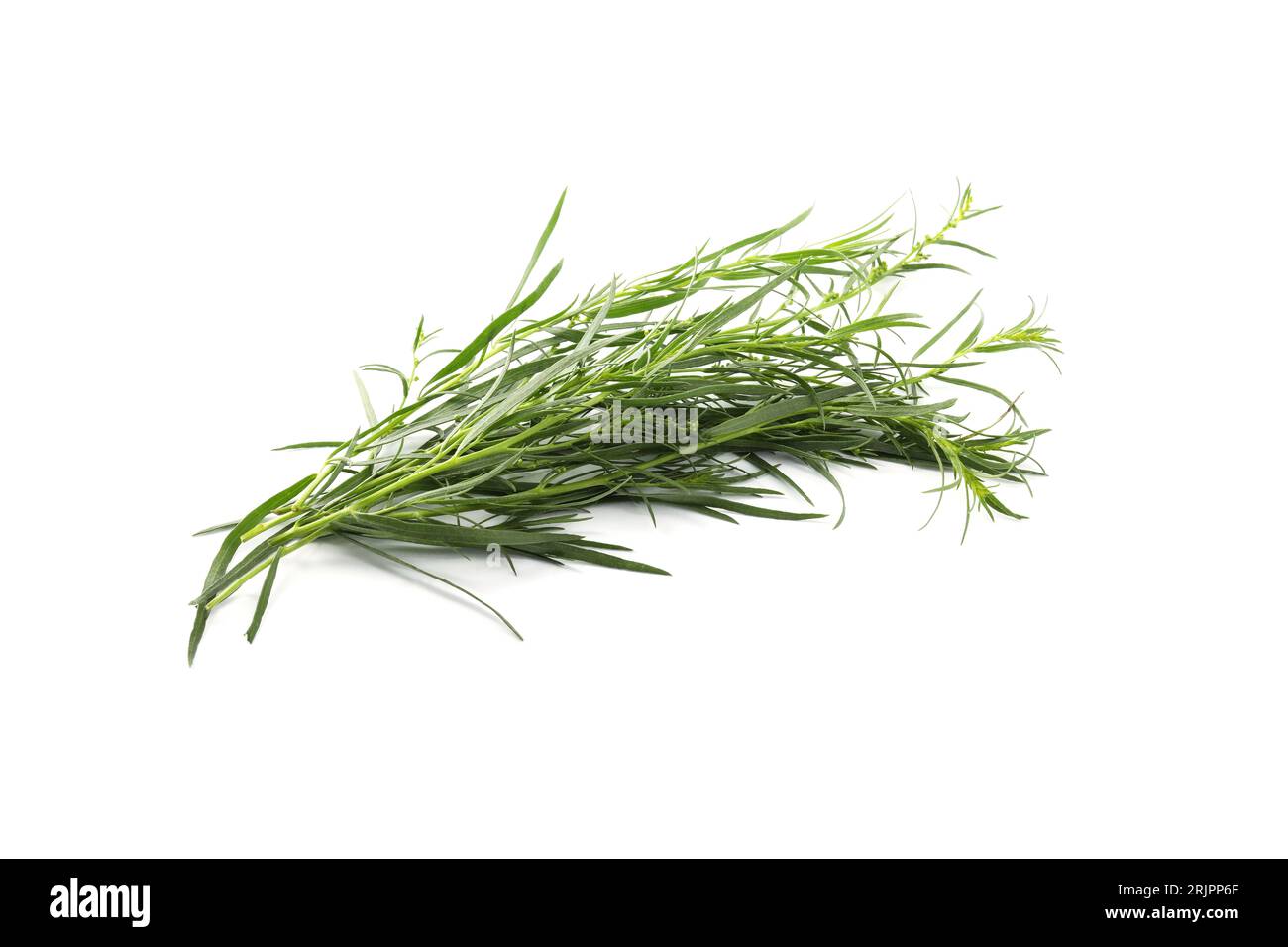 Bunch of fresh tarragon on white background Stock Photo - Alamy