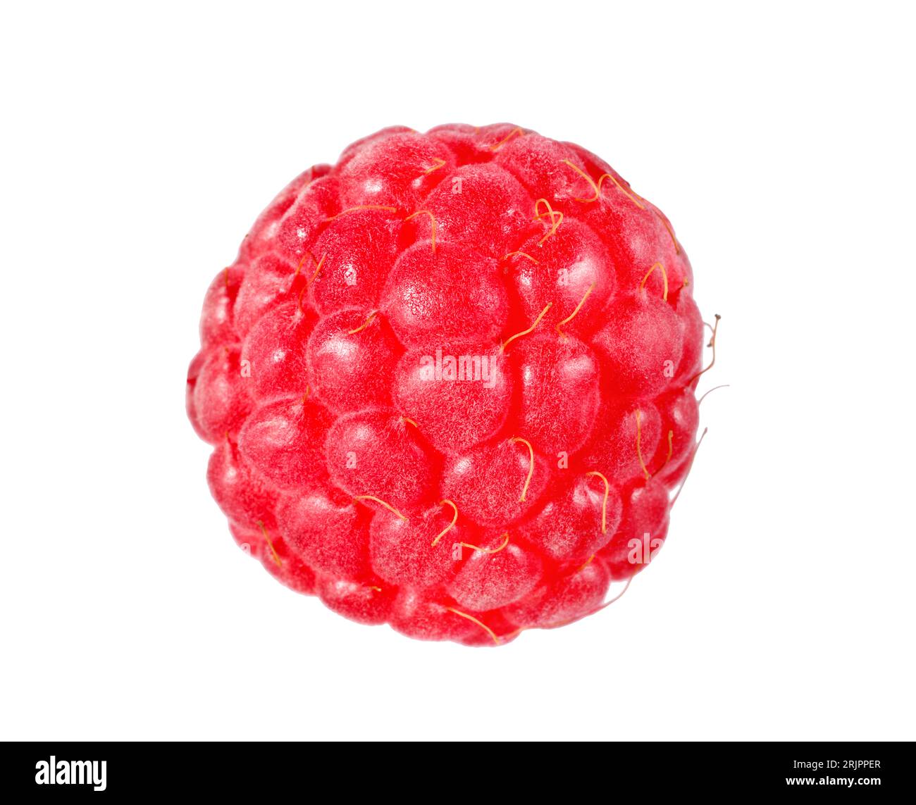 One tasty ripe raspberry isolated on white Stock Photo - Alamy