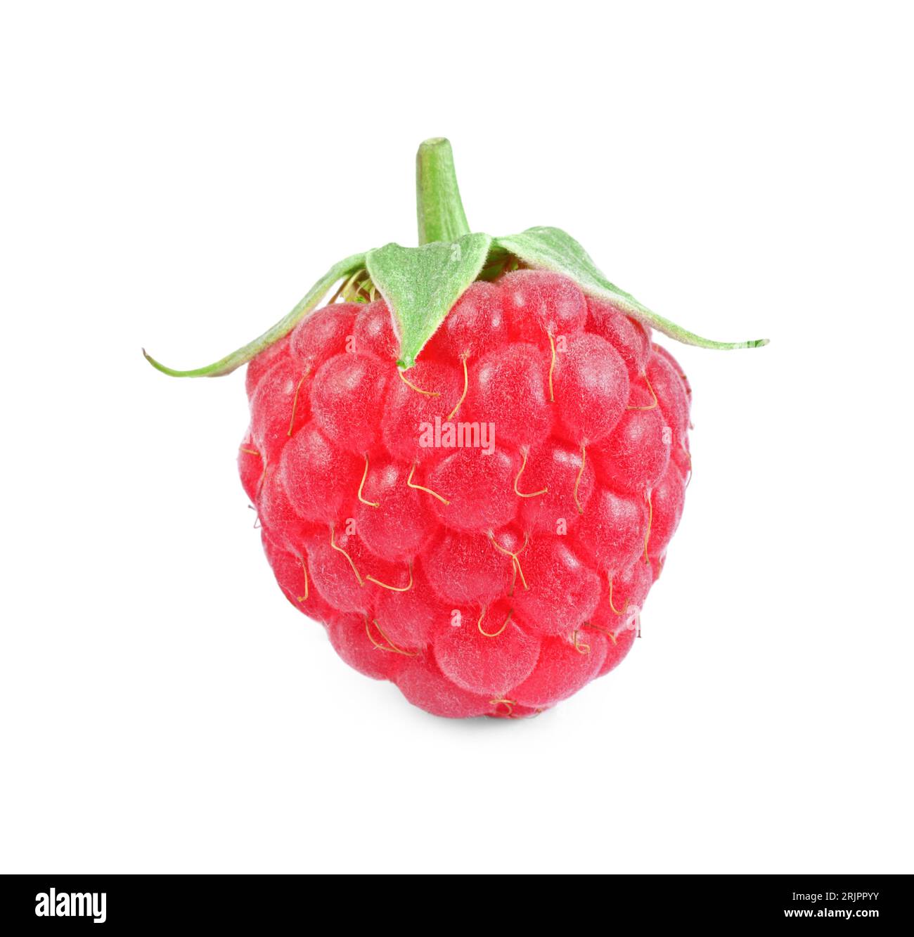 One tasty ripe raspberry isolated on white Stock Photo - Alamy