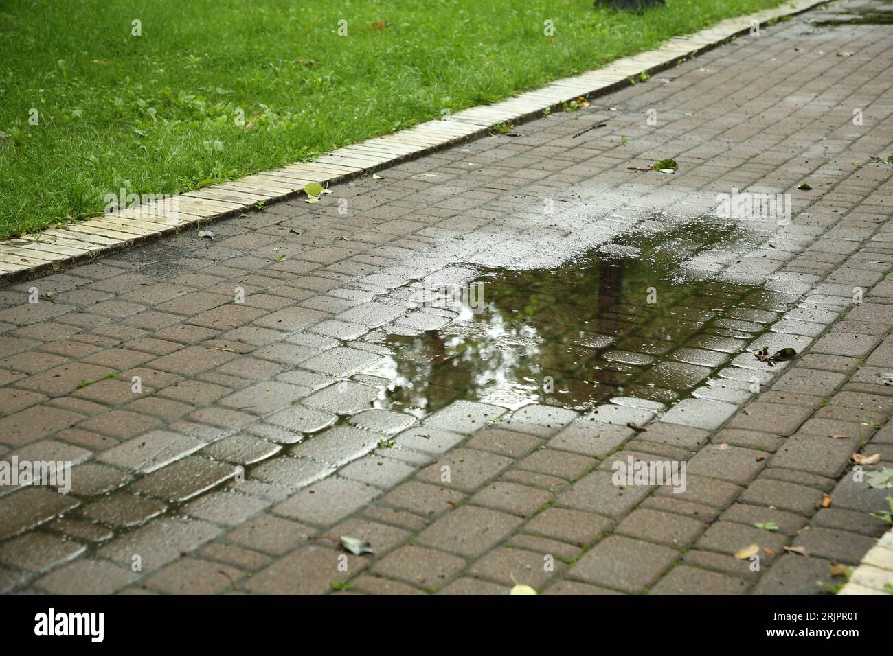 Puddle of rain water on paved pathway outdoors Stock Photo - Alamy