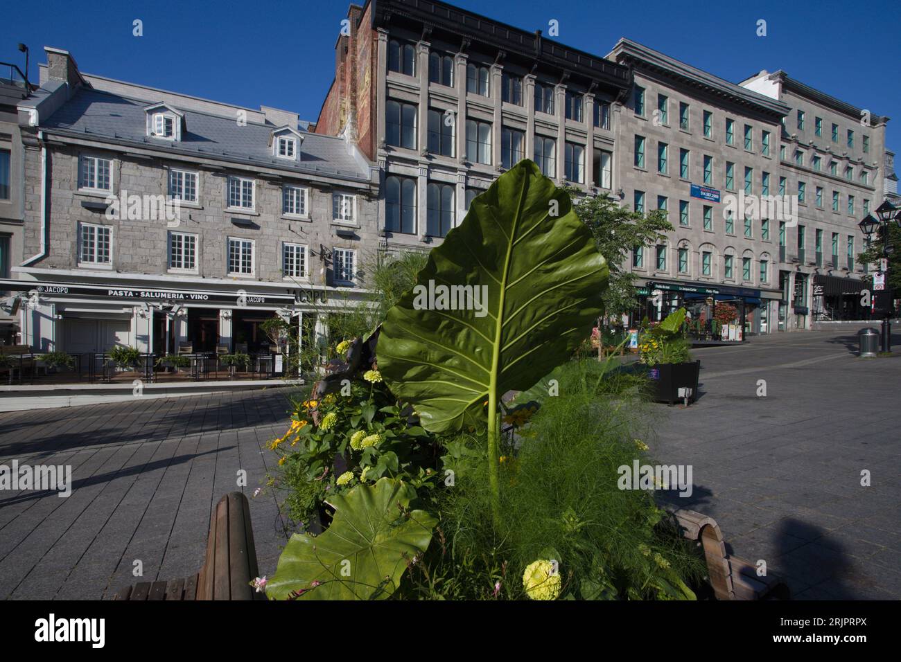 Cartier place quebec hi-res stock photography and images - Alamy