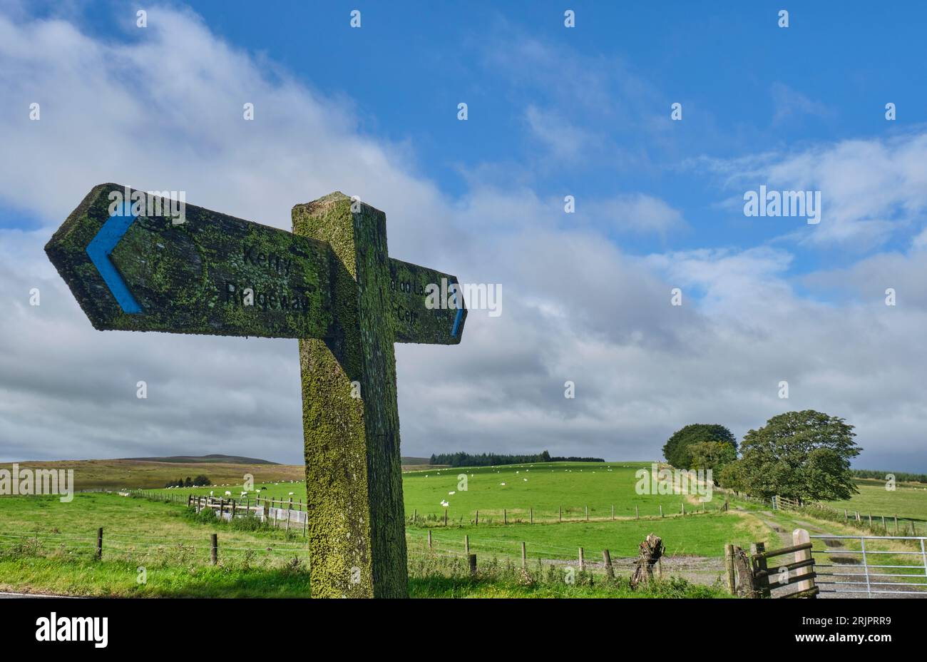 The Kerry Ridgeway near Block Wood car park on the B4368, near Kerry ...