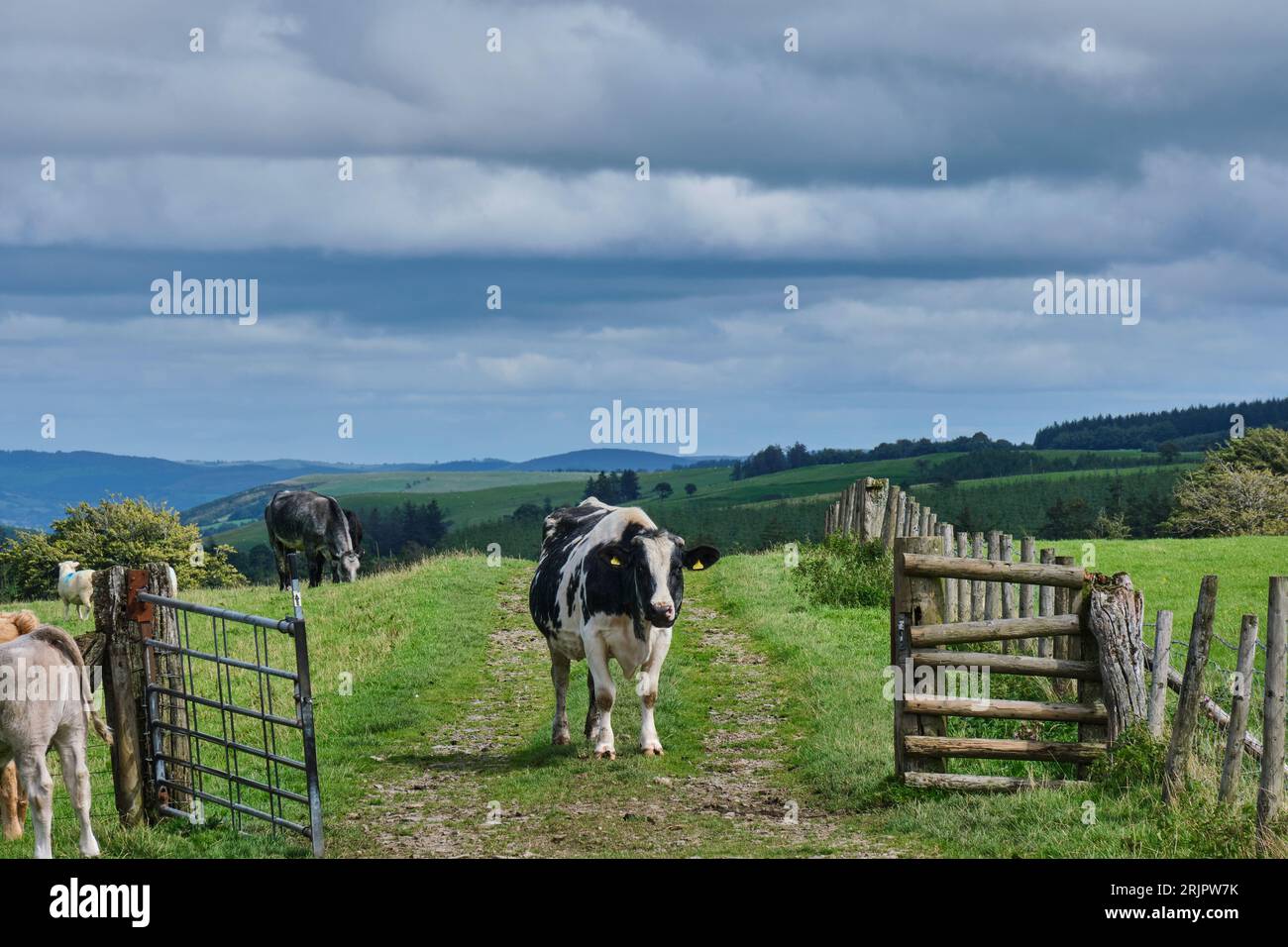 Blocking space hi-res stock photography and images - Alamy