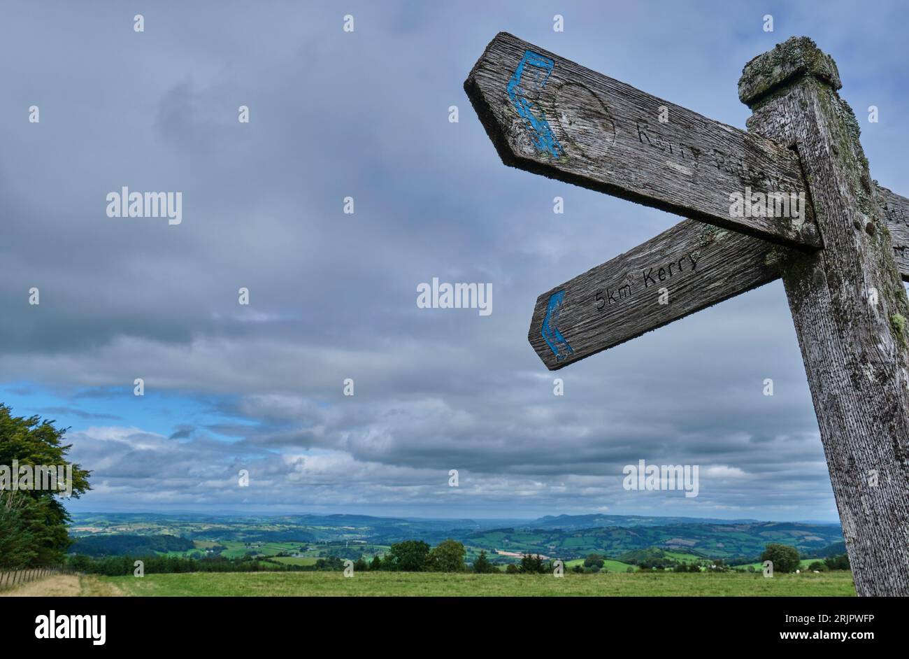 Path junction on the Kerry Ridgeway, Powys, Wales Stock Photo - Alamy