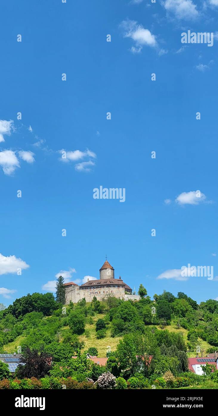 A beautiful castle atop a lush green hill, surrounded by an abundance ...