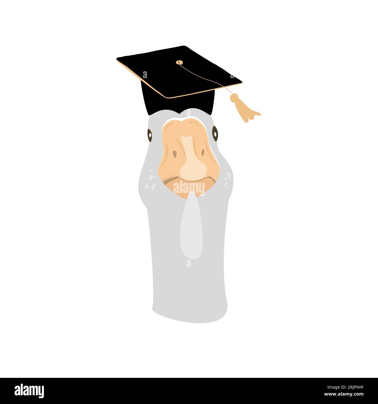 Cute graduate goose character. Geese head in graduation hat. Vector ...
