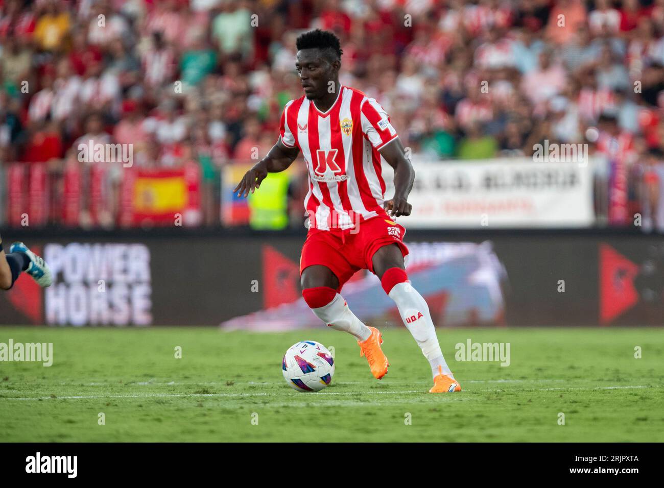 Estadio power horse stadium hi-res stock photography and images - Alamy