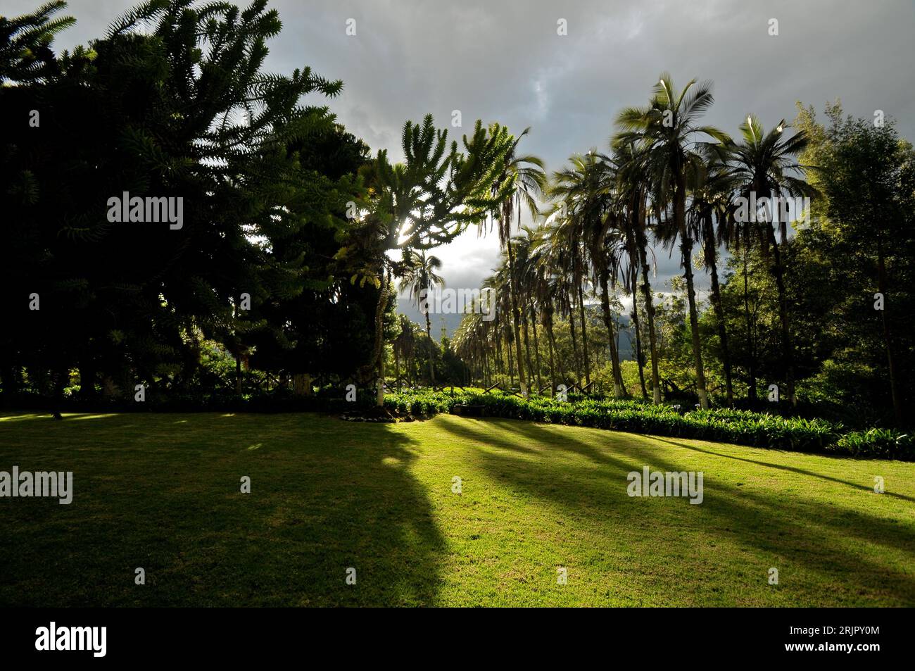Plains plants hi-res stock photography and images - Alamy