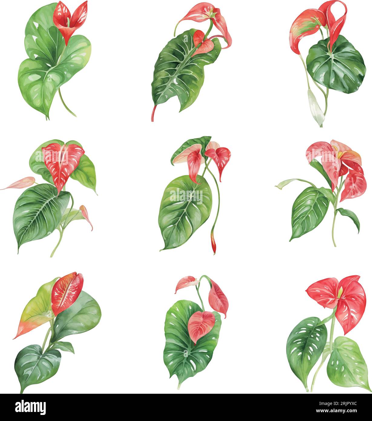 Set of watercolor tropical leaves isolated on white background ...