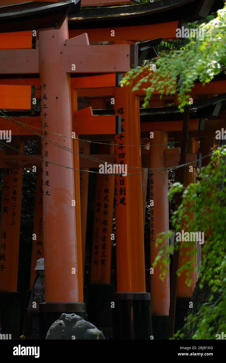 The Thousand Gates Shrine in Kyoto, Japan Stock Photo - Alamy