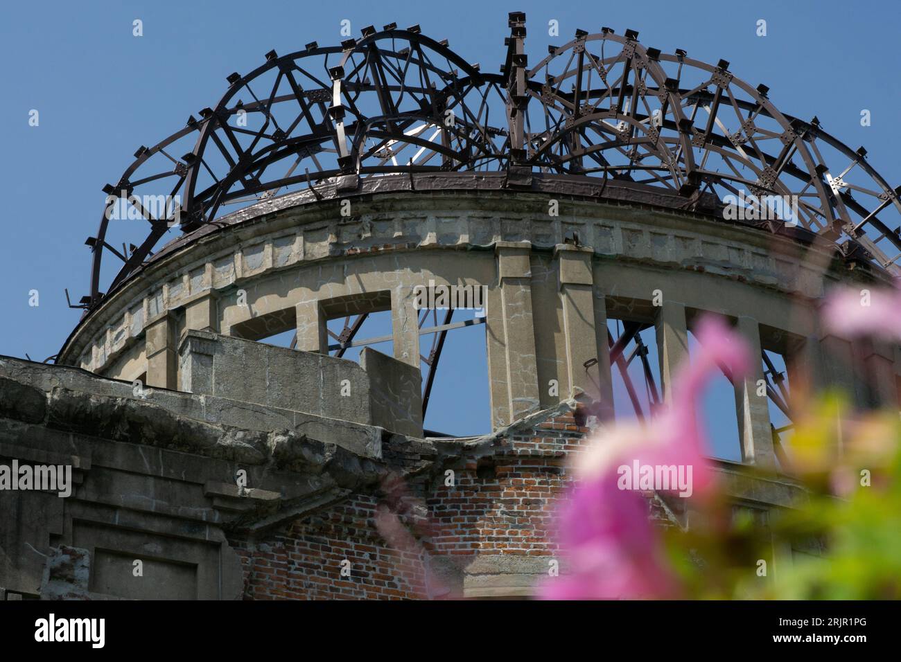 The Hiroshima bomb dome in Hiroshima, Japan, with vibrant pink flowers ...