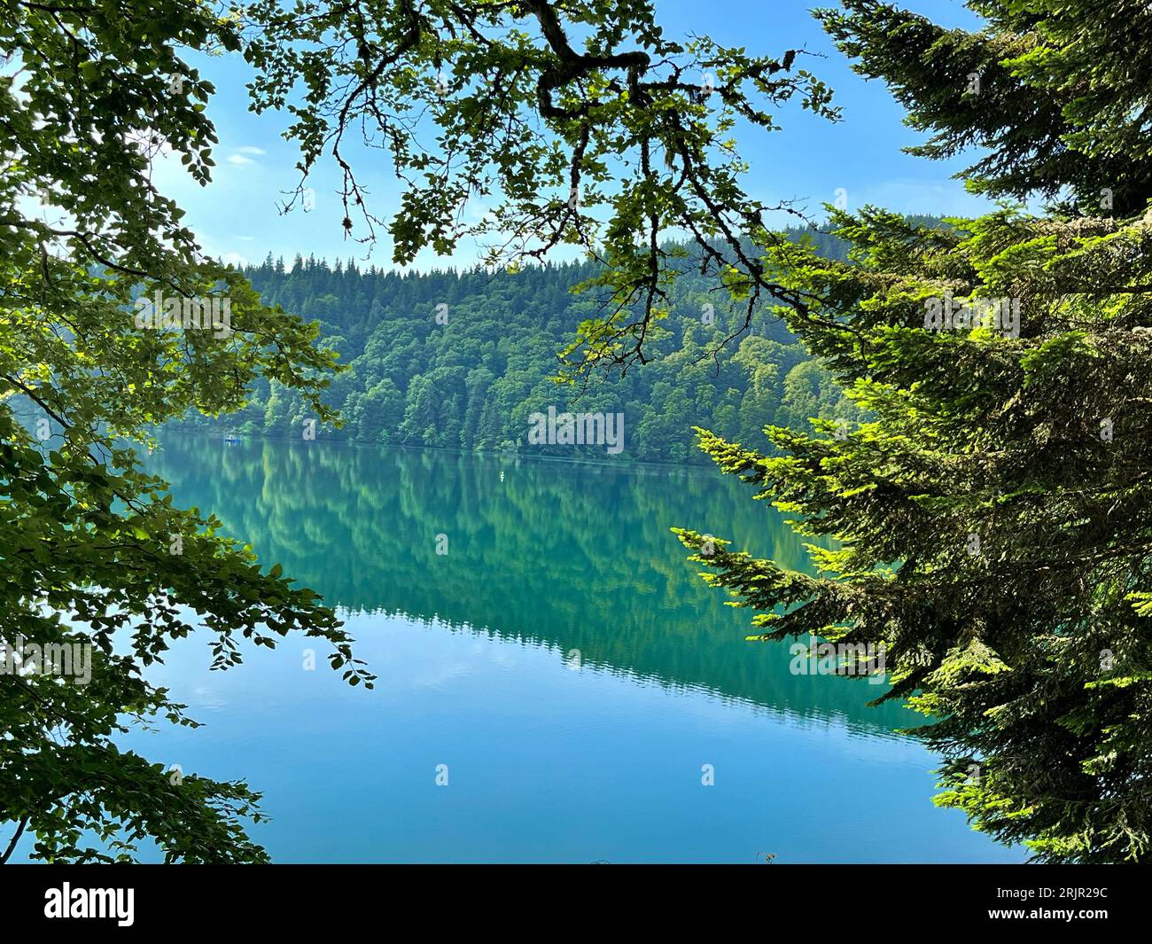 A picturesque landscape with a tranquil lake surrounded by lush green ...