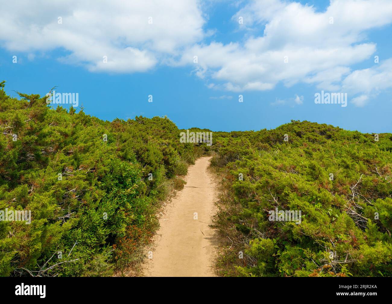 Bonifacio (Corse, France) - Corsica is a big french island in ...
