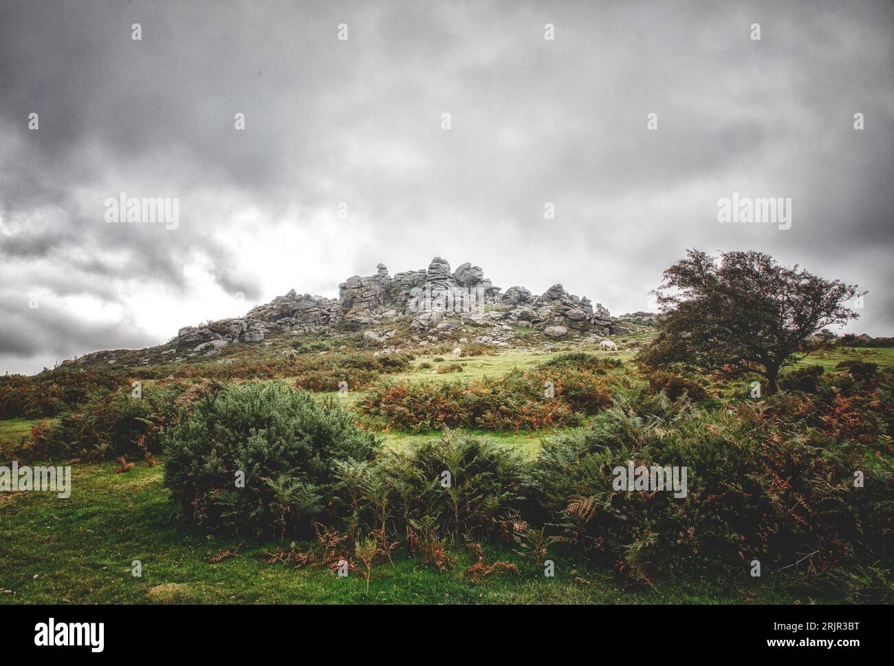 A Landscape of the Haytor Rocks Dartmoor under a cloudy sky in Haytor ...