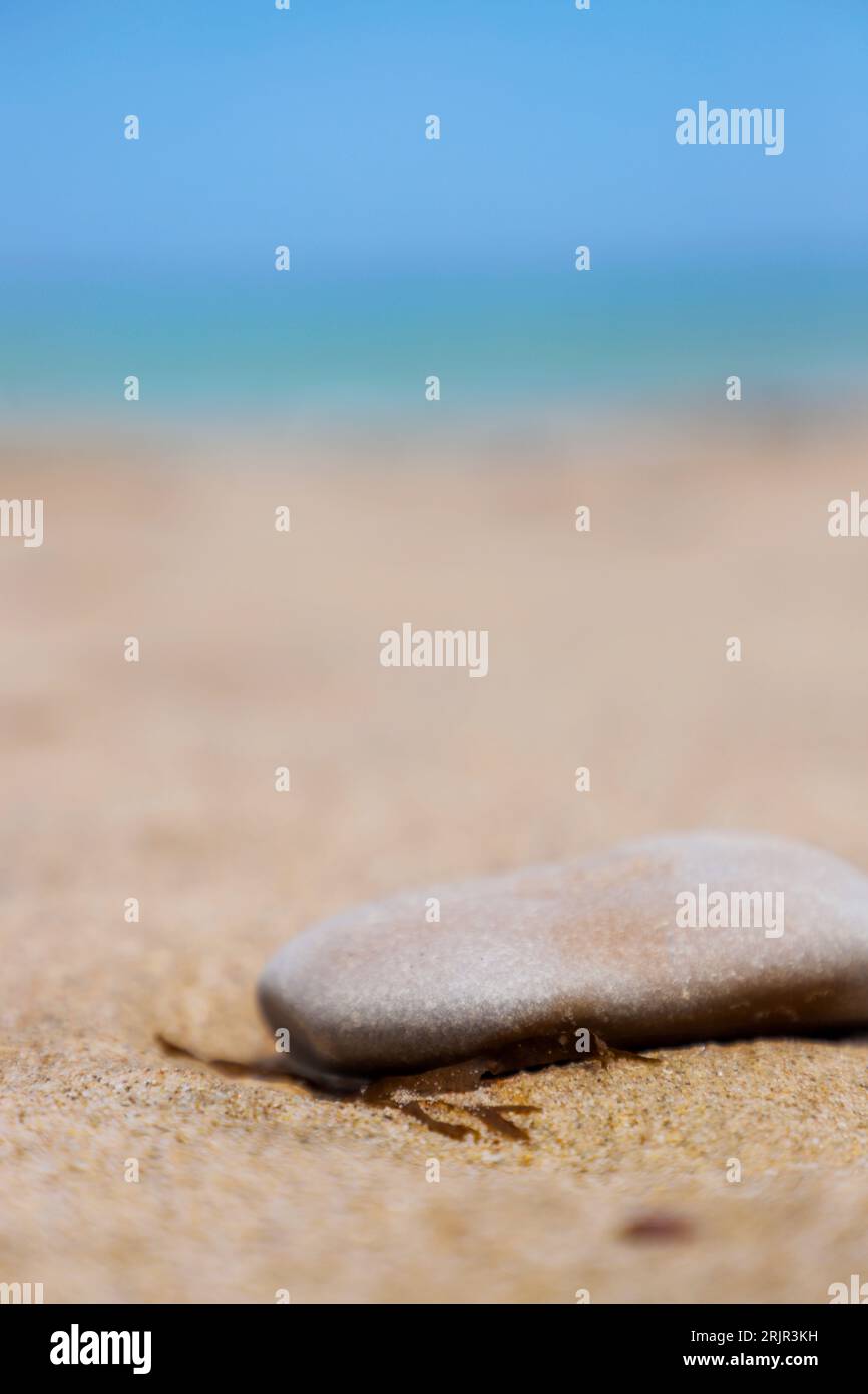 A sun-drenched beach in Alicante, Spain, featuring textured sea rocks ...