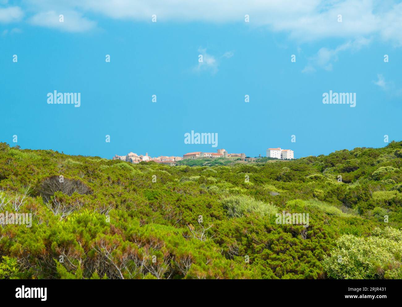 Bonifacio (Corse, France) - Corsica is a big french island in ...