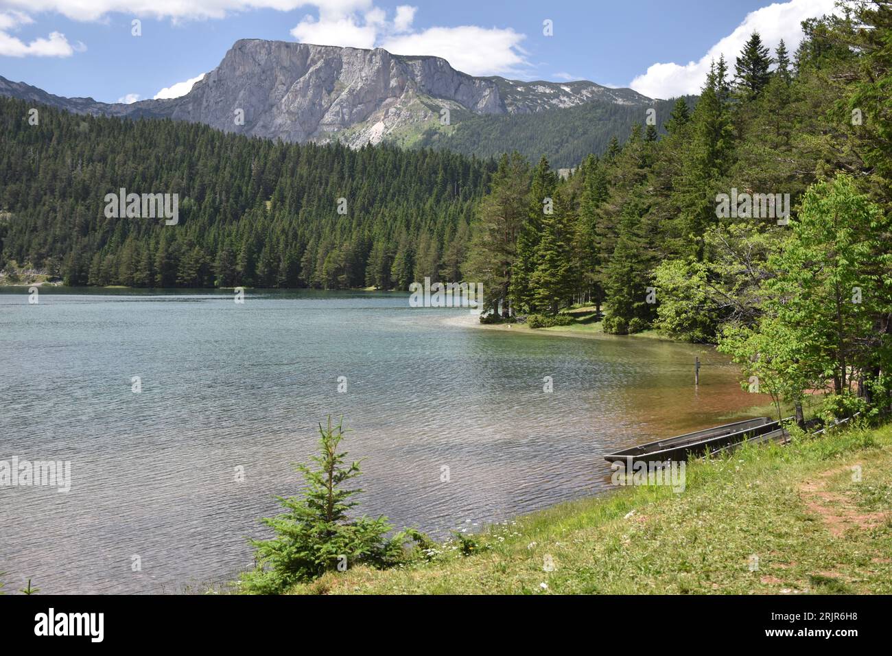 A stunning view of the Crno Jezero Lake in Montenegro, surrounded by ...