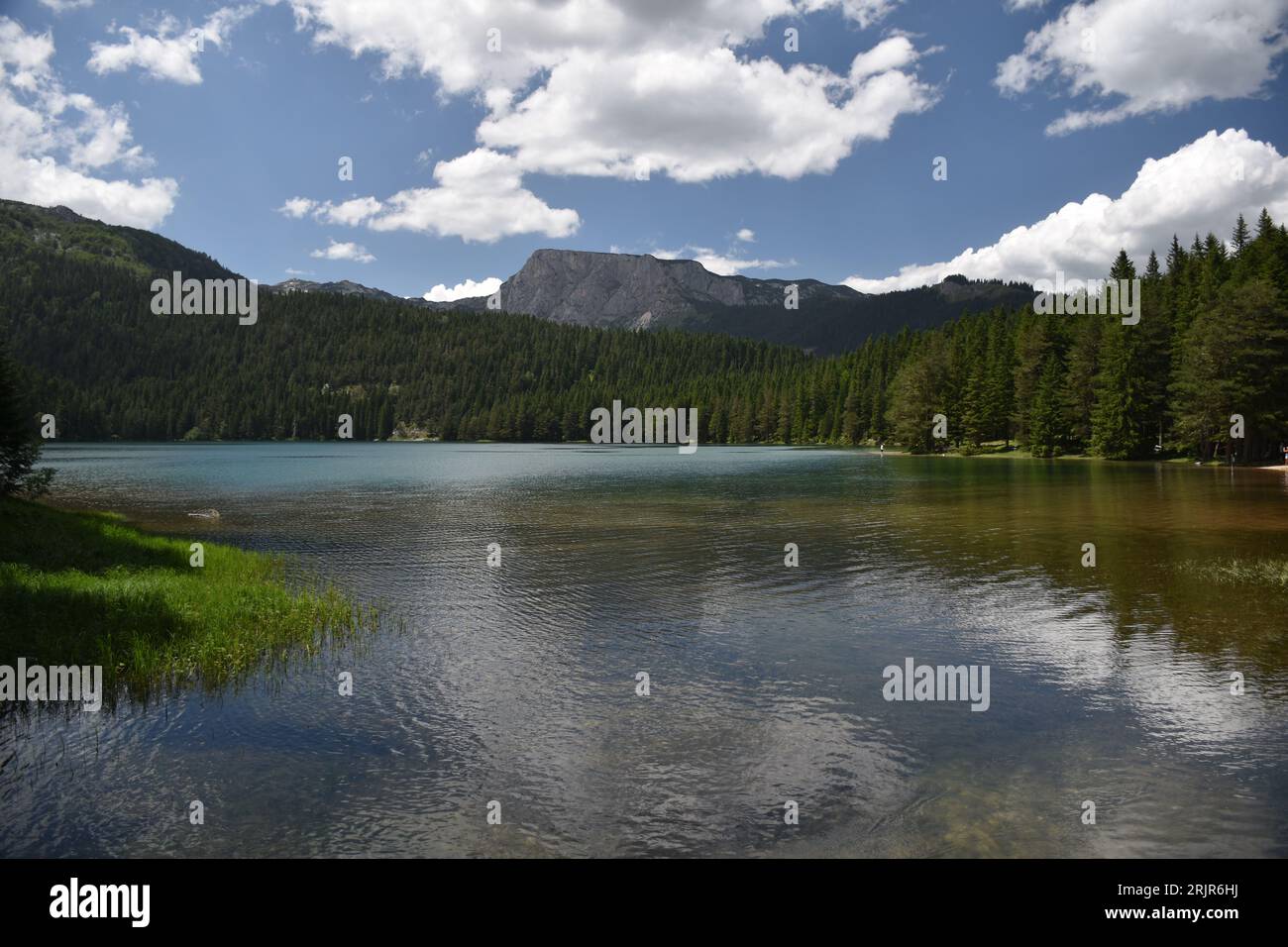 A stunning view of the Crno Jezero Lake in Montenegro, surrounded by ...