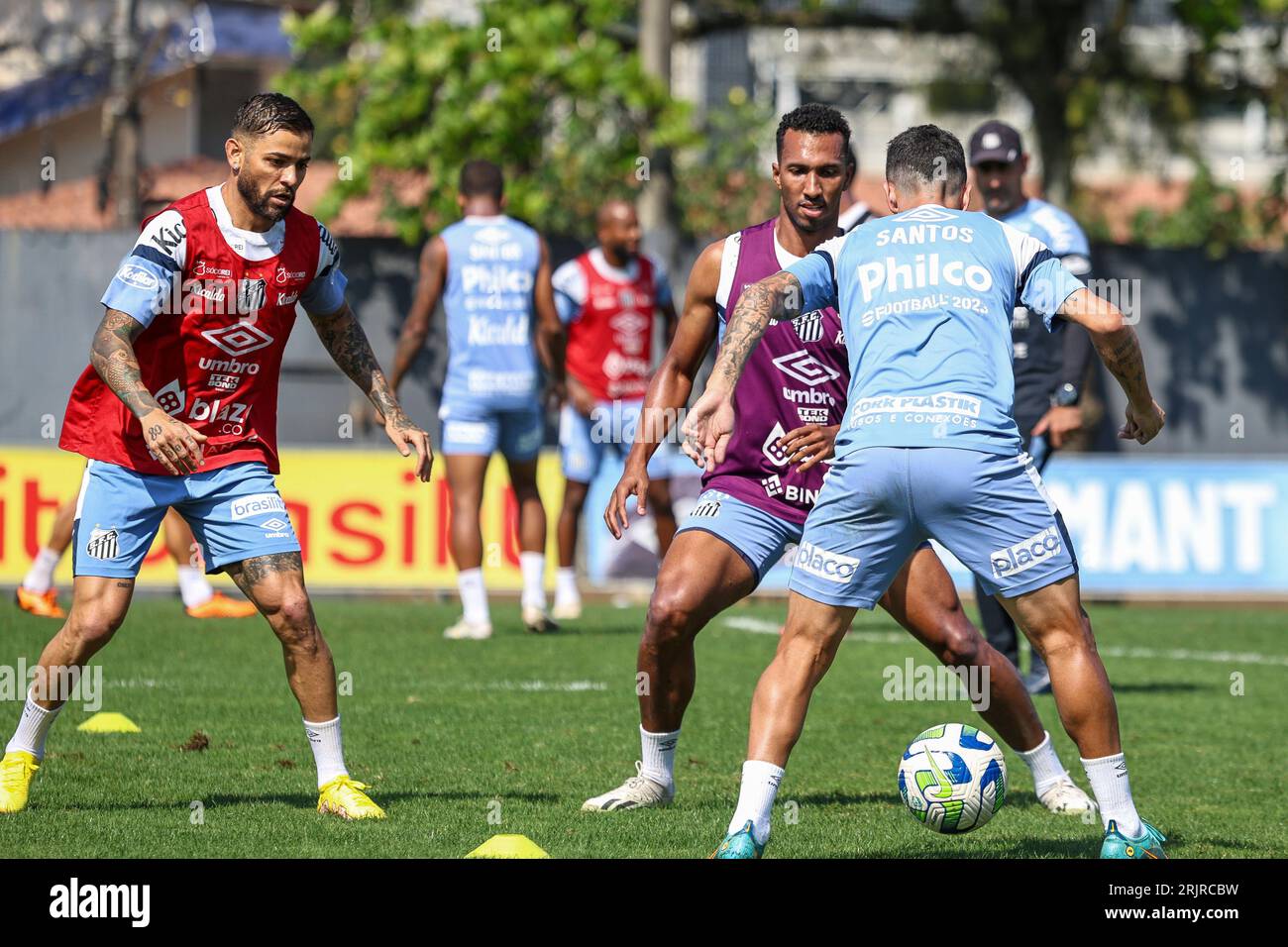 SP - SANTOS - 08/23/2023 - SANTOS, TRAINING - Lucas Pires Santos player ...