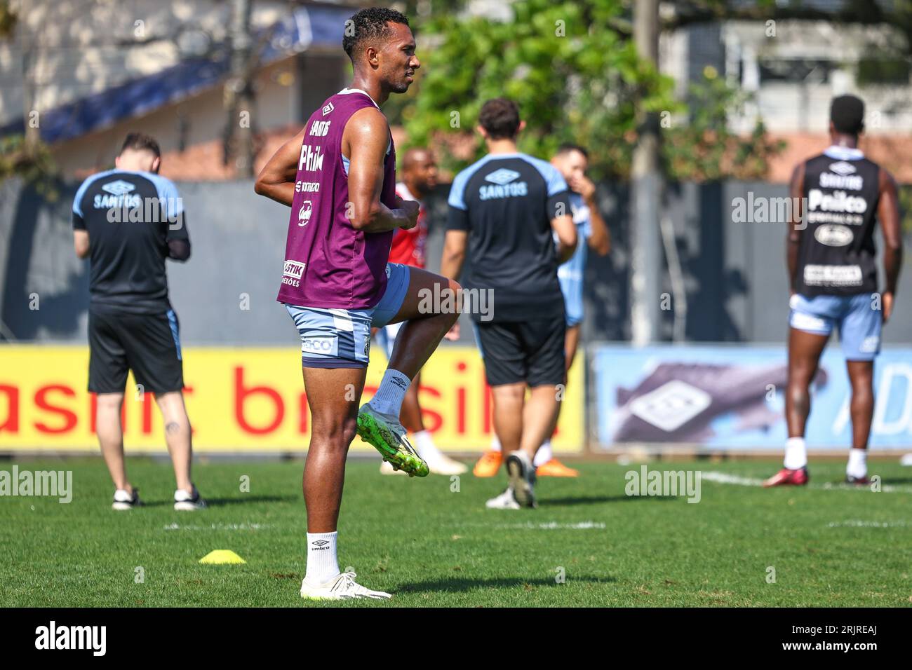 SP - SANTOS - 08/23/2023 - SANTOS, TRAINING - Lucas Pires Santos player ...