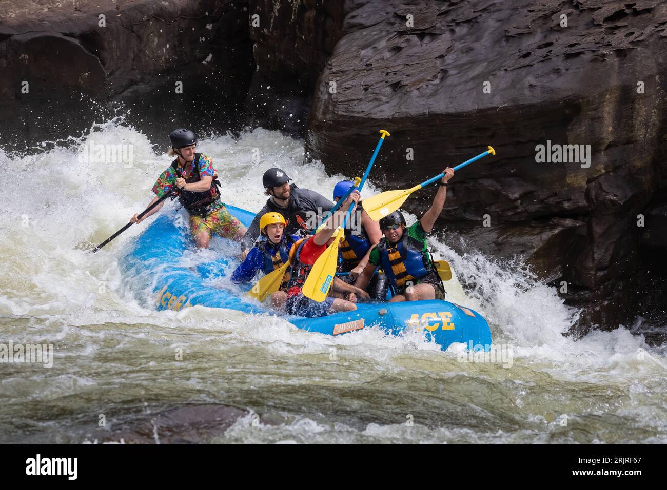 A diverse group of people rafting together in a flowing river Stock ...