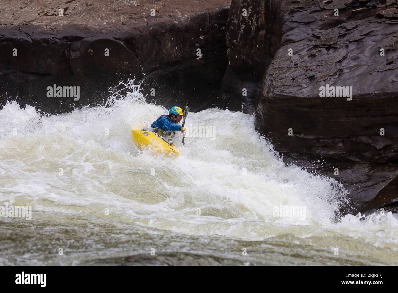 A diverse group of people rafting together in a flowing river Stock ...
