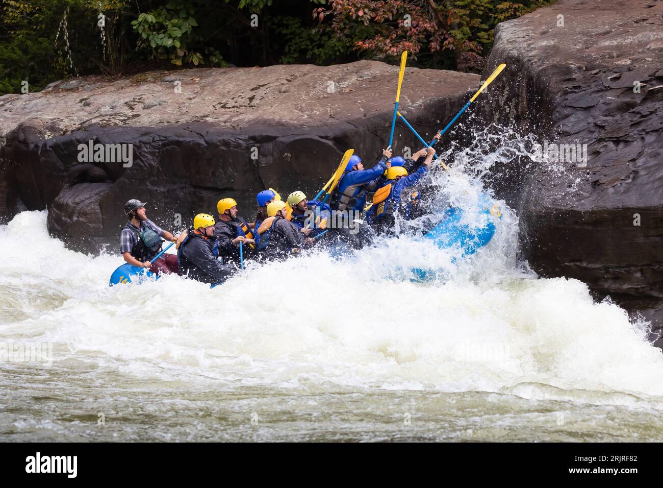 A diverse group of people rafting together in a flowing river Stock ...