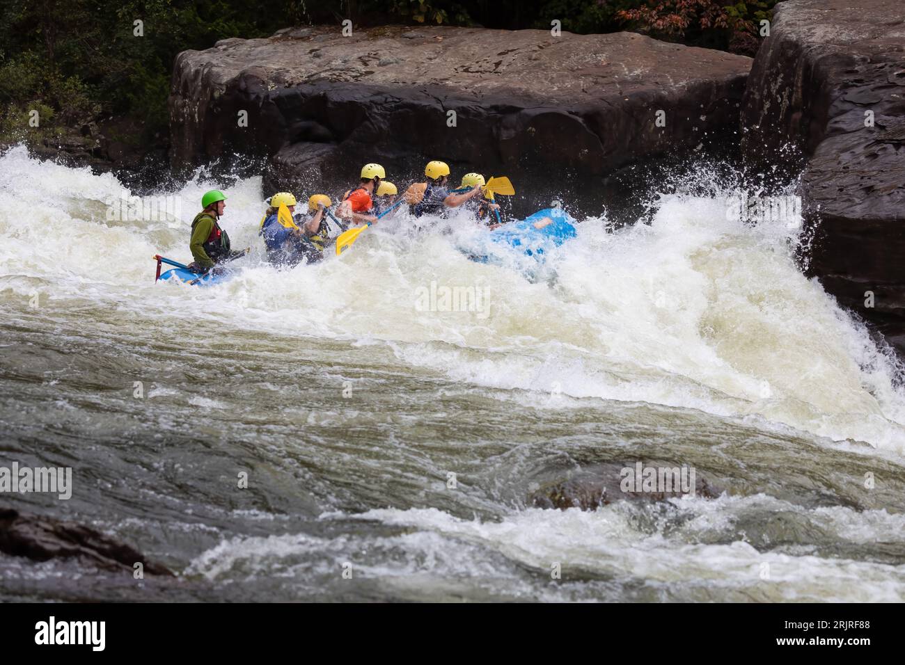 A diverse group of people rafting together in a flowing river Stock ...