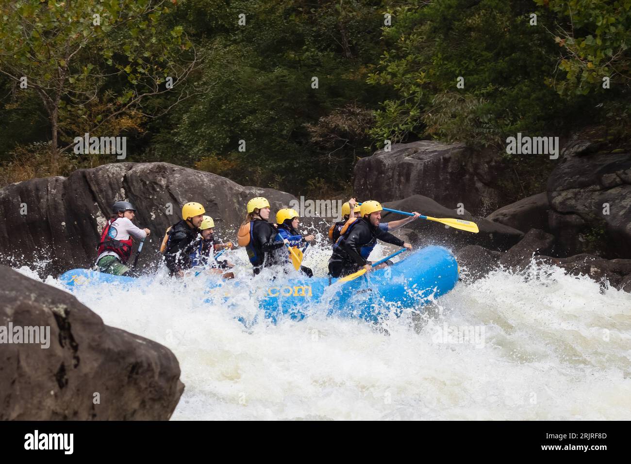 A diverse group of people rafting together in a flowing river Stock ...