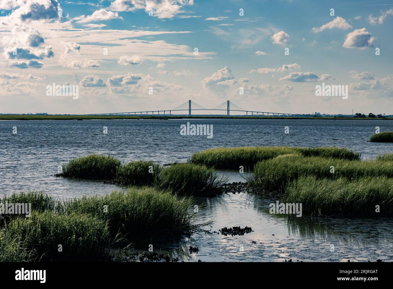 Coastal marsh jekyll island georgia hi-res stock photography and images ...