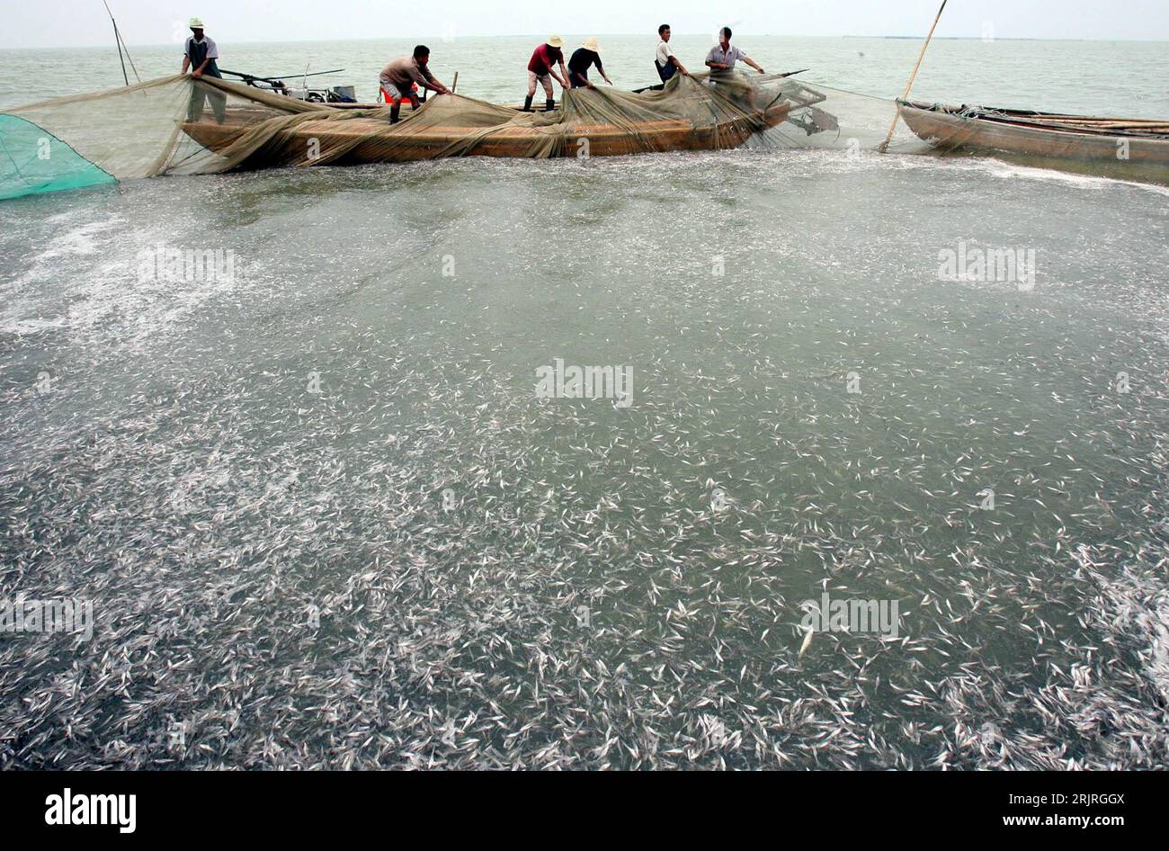Fischnetz hi-res stock photography and images - Alamy