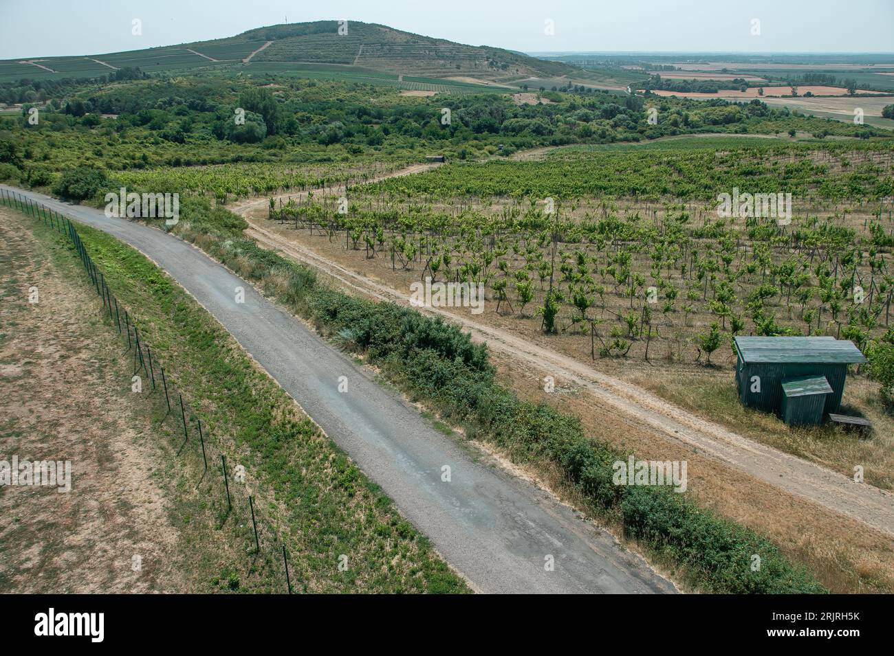 An aerial view of the wine region of Tokaj in south east Slovakia, Mala ...