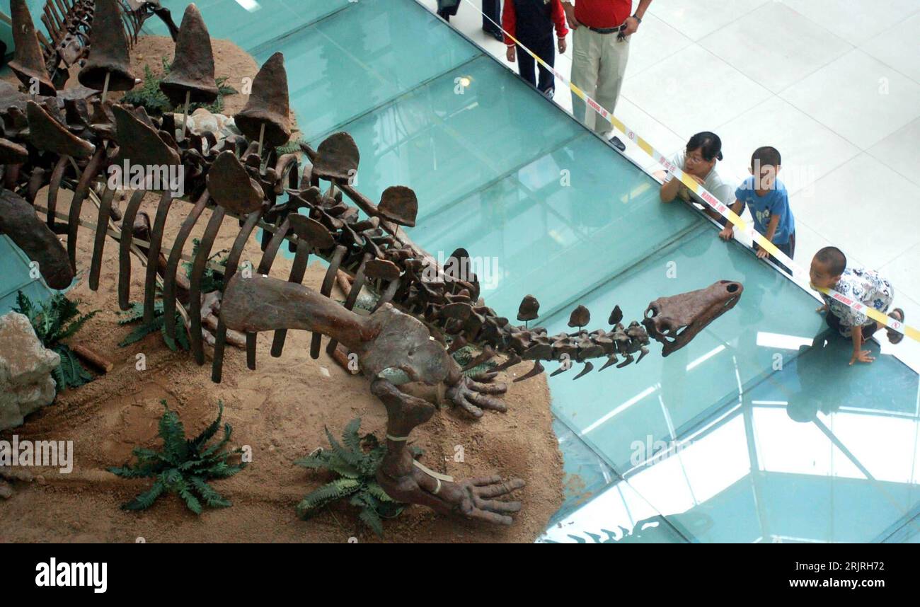 Skelett dino hi-res stock photography and images - Alamy