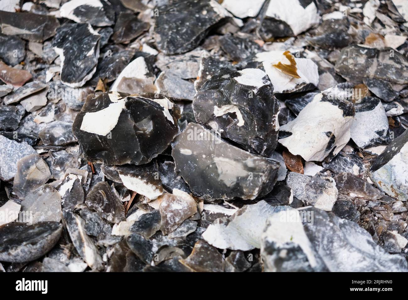 Compacted organic debris hi-res stock photography and images - Alamy