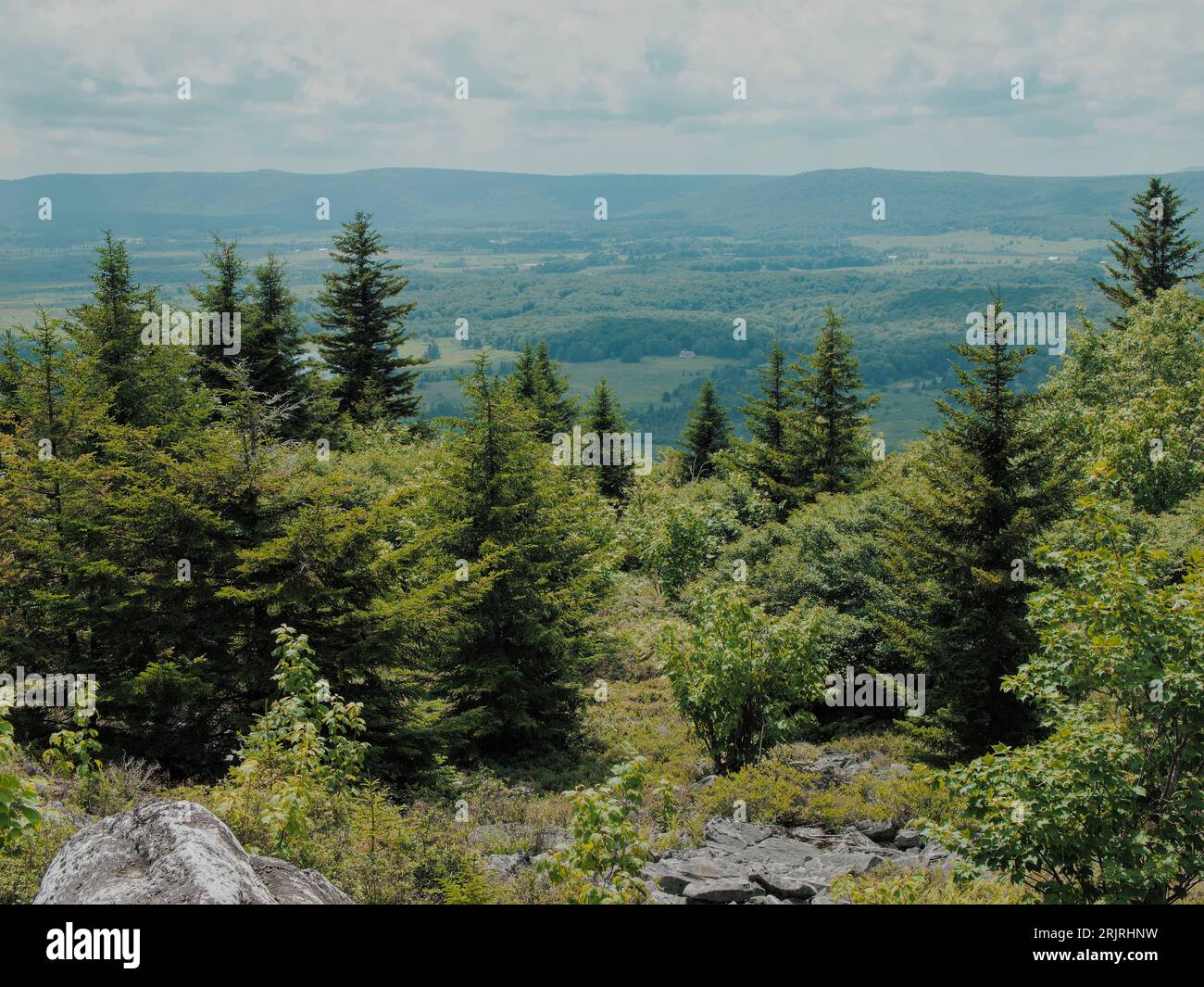 Rolling dolly hi-res stock photography and images - Alamy