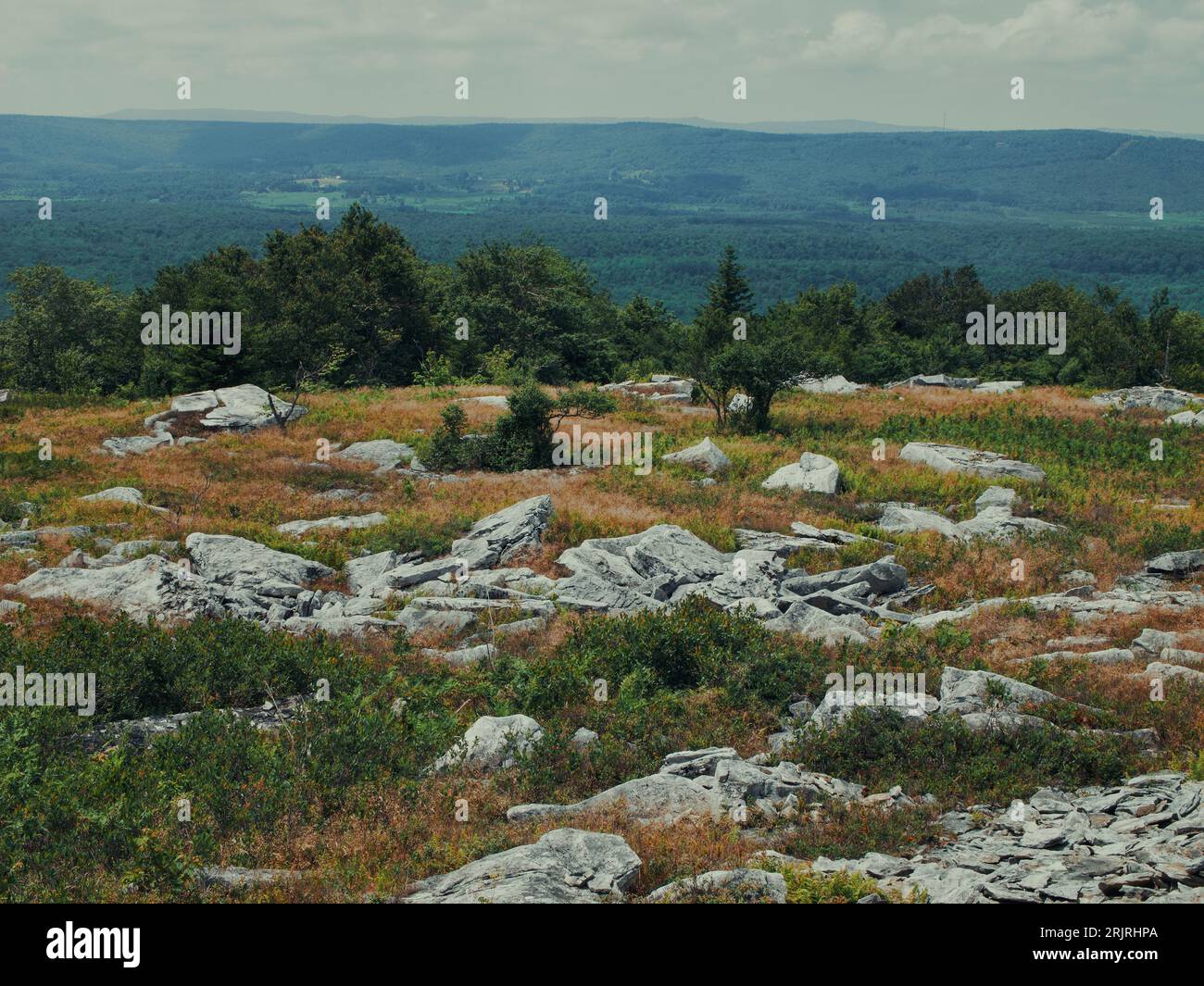 Side dolly hi-res stock photography and images - Alamy