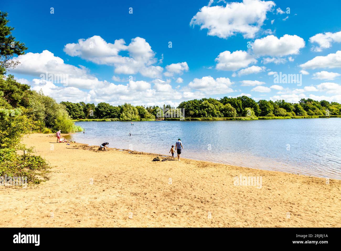 Frensham common swimming hi-res stock photography and images - Alamy