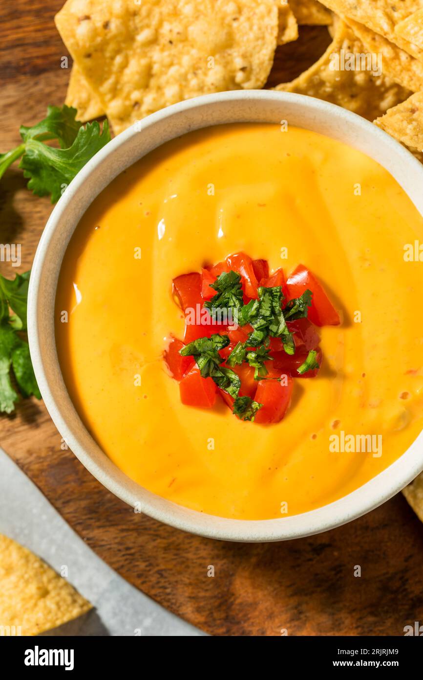 Warm Homemade Cheesy Queso Dip with Tortilla Chips Stock Photo - Alamy