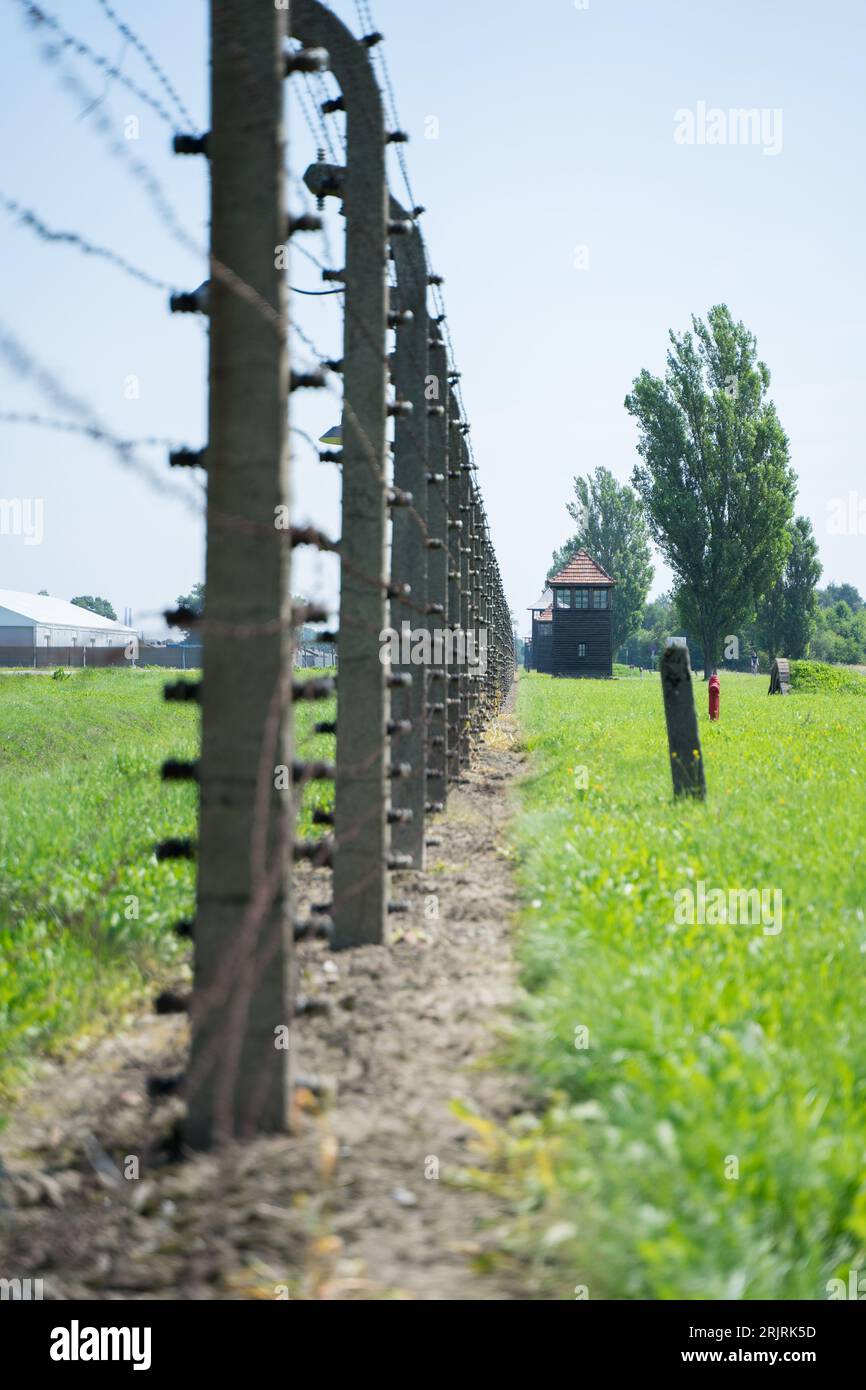 A vertical shot of the barbed wire fence at the former Auschwitz ...