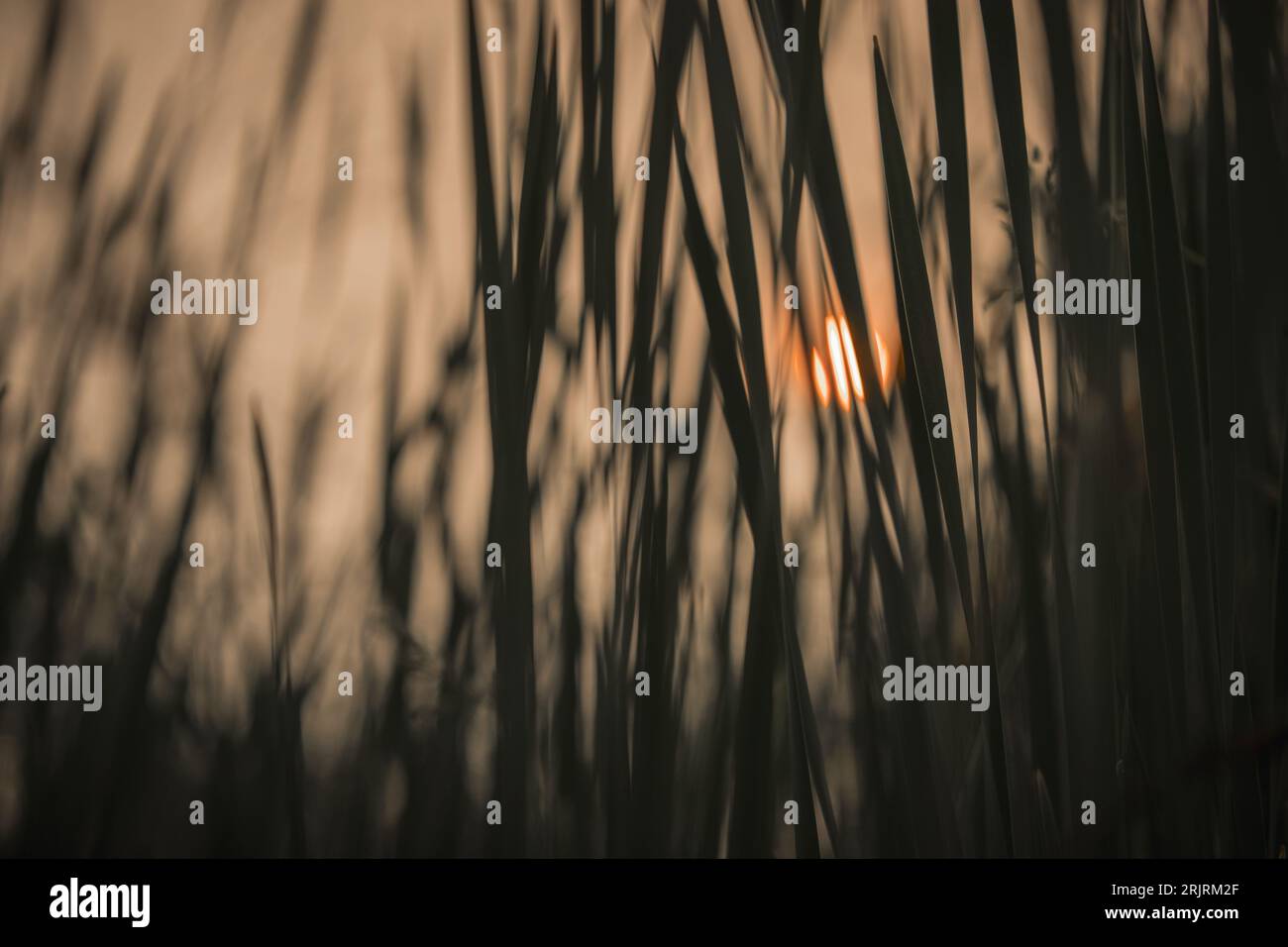Sun rays cutting through hi-res stock photography and images - Alamy