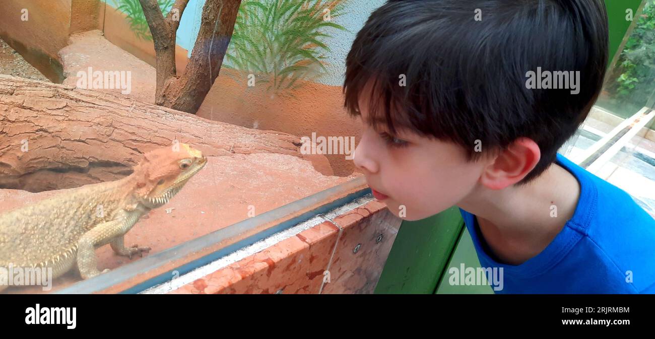 A young child with a curious expression on their face is looking at a ...