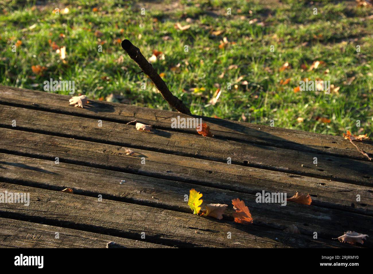 Tavole in legno hi-res stock photography and images - Alamy