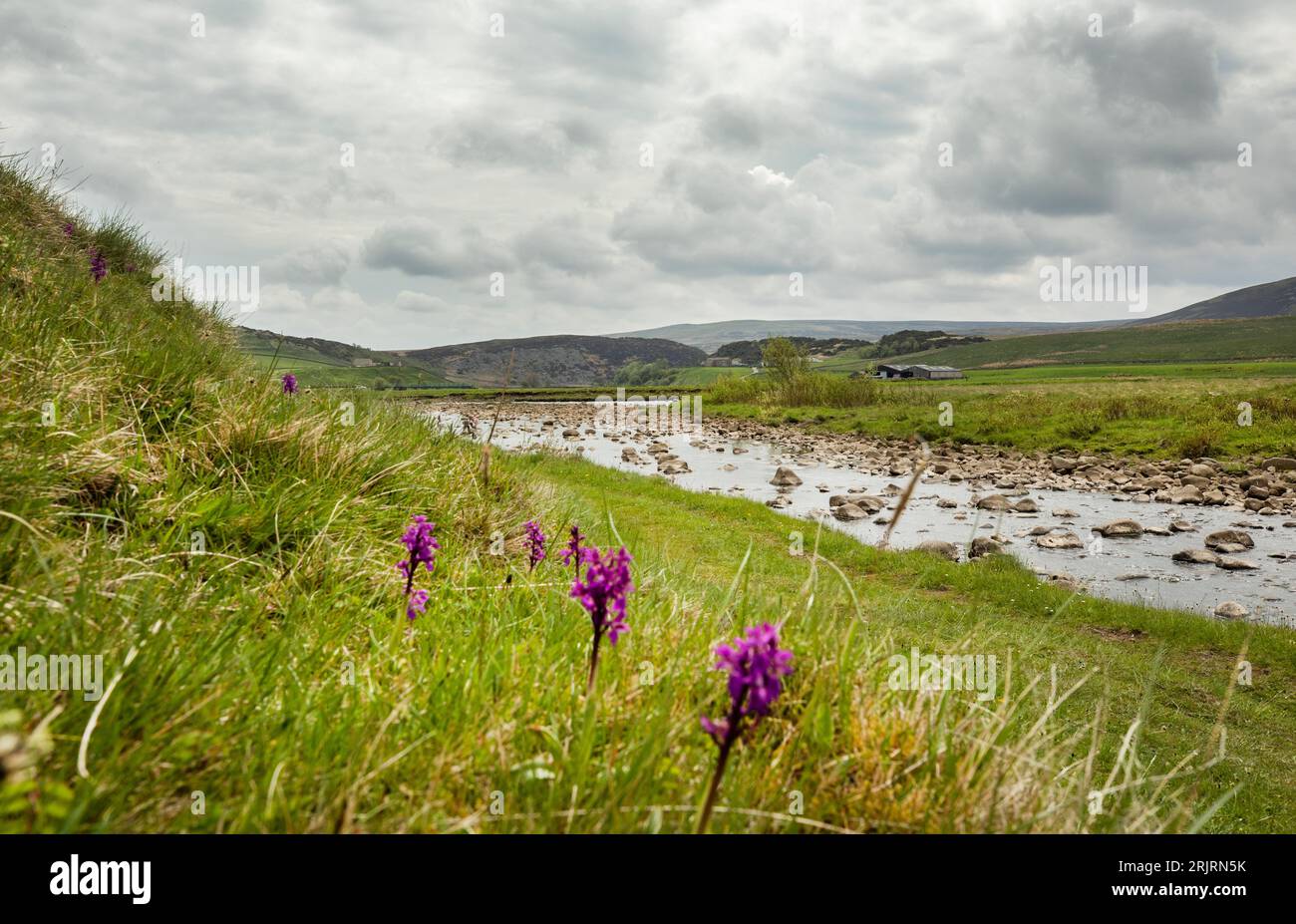 Moor house upper teesdale reserve hi-res stock photography and images ...
