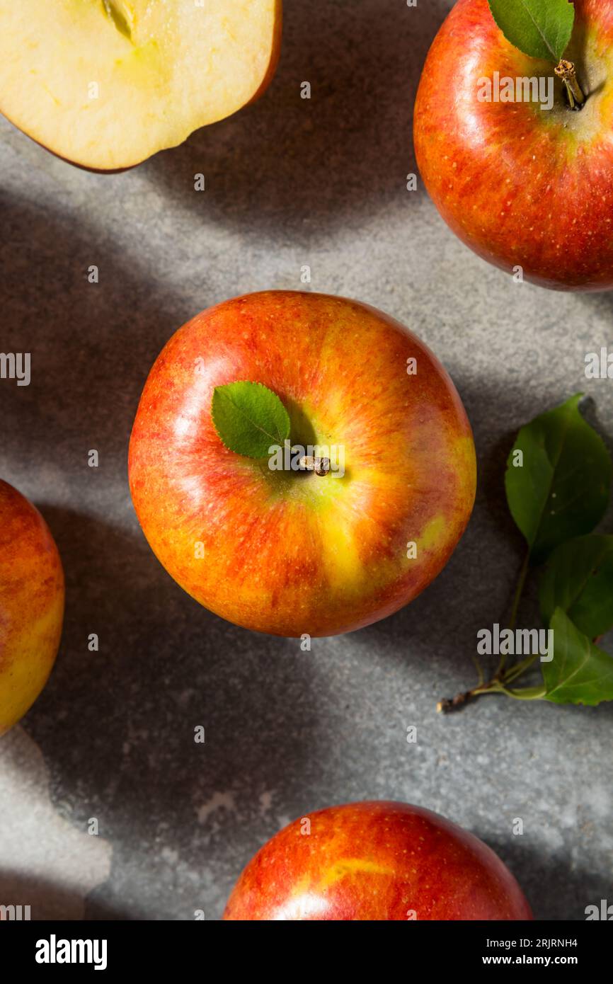 Red Organic Raw Envy Apples in a Bunch Stock Photo - Alamy