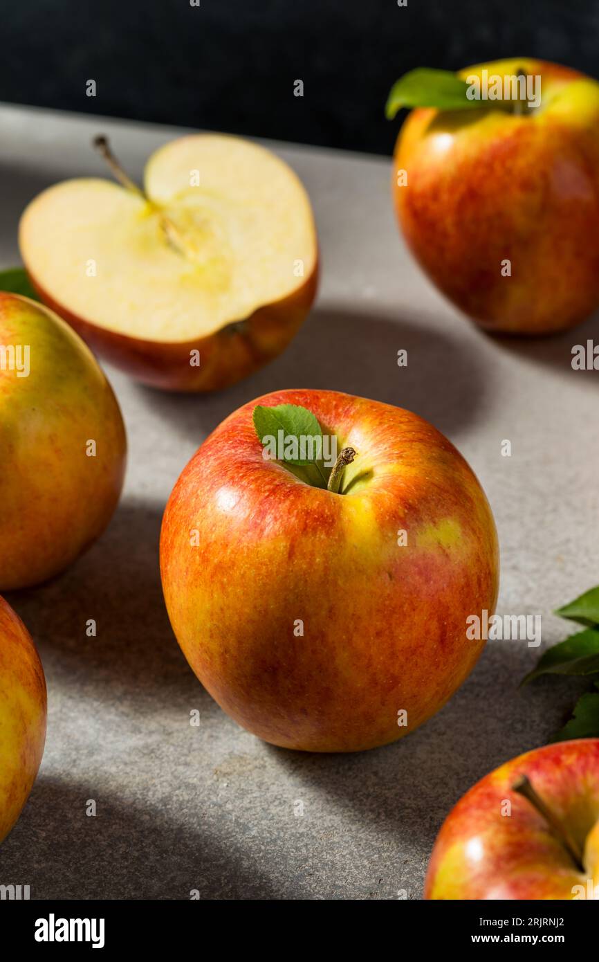 Red Organic Raw Envy Apples in a Bunch Stock Photo - Alamy