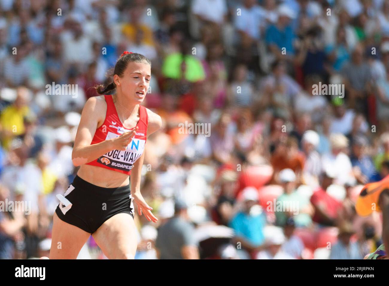 Susanne walli hi-res stock photography and images - Alamy