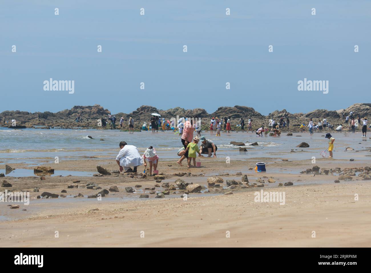 Seashell gathering hi-res stock photography and images - Alamy