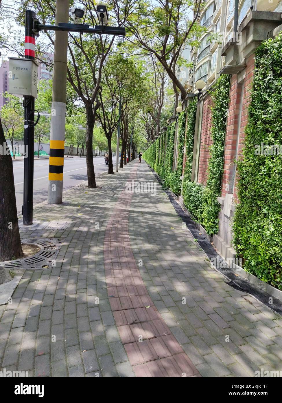 A picturesque street scene featuring a brick sidewalk surrounded by ...