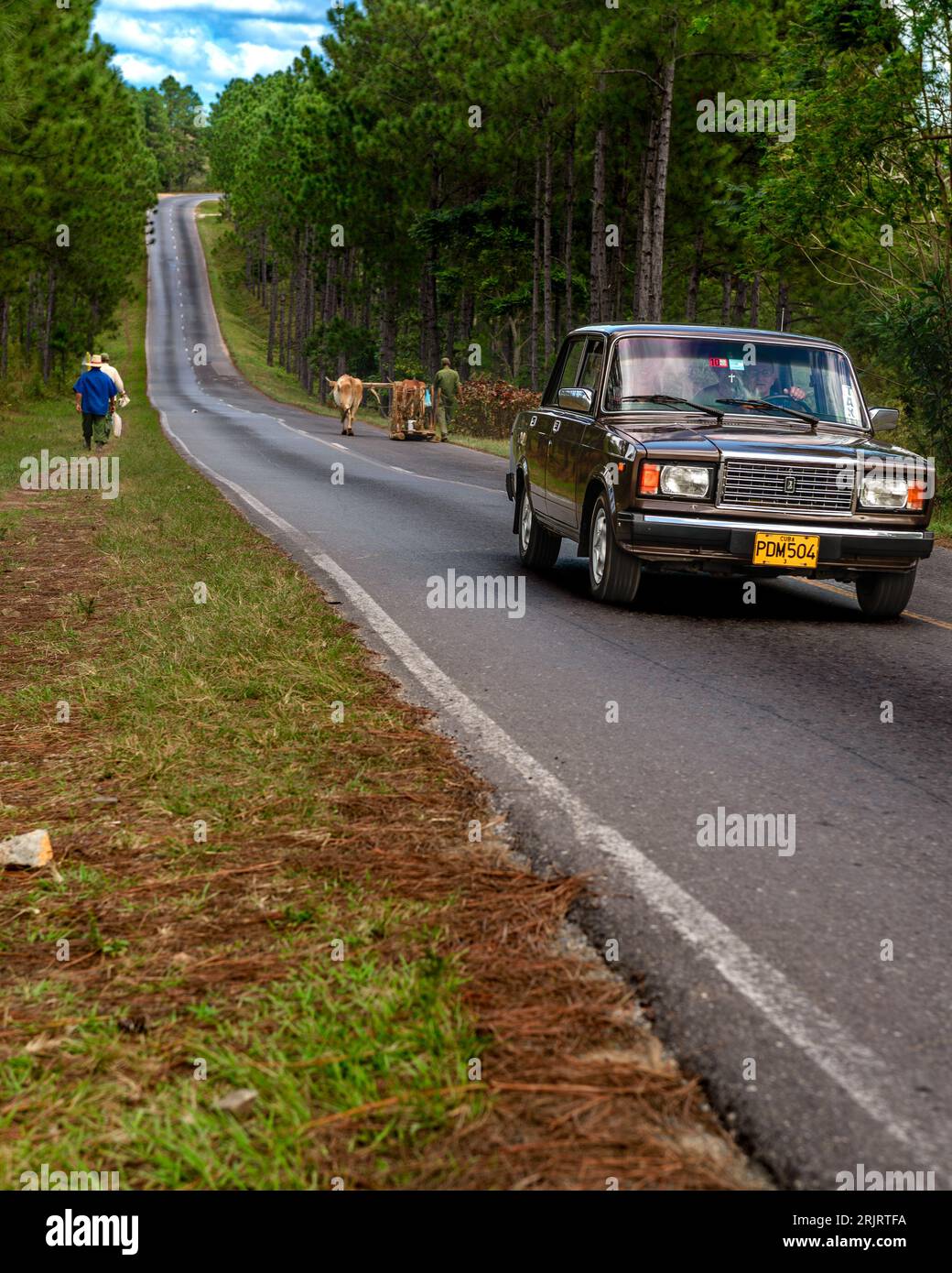 A Soviet dark car model Lada move through a long route with trees along ...